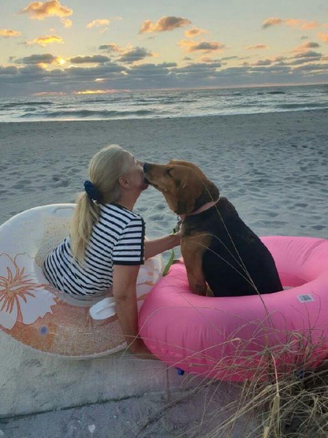 Foster | Englewood Animal Rescue Sanctuary